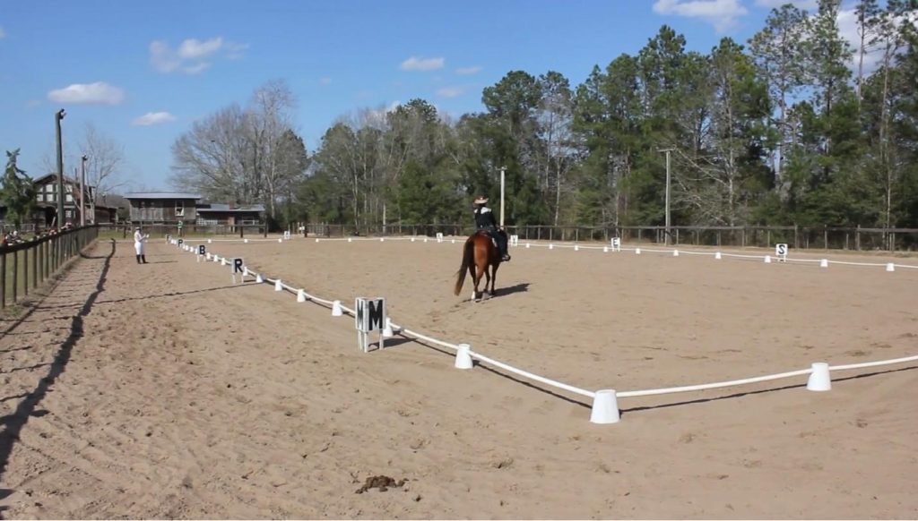HELP ME GUIDE – Virtual Horse Sport